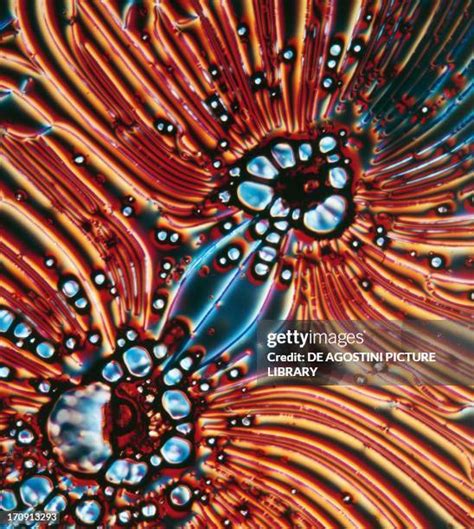 Birefringence Photos And Premium High Res Pictures Getty Images