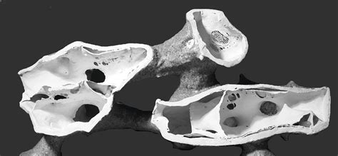 Hacking The Building Industry Behance