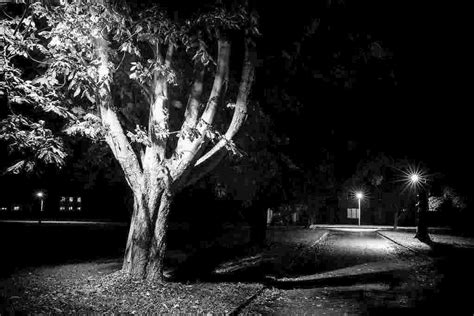 GitHub Chongjg Contrast Enhancement Histogram Equalization And Its Extension