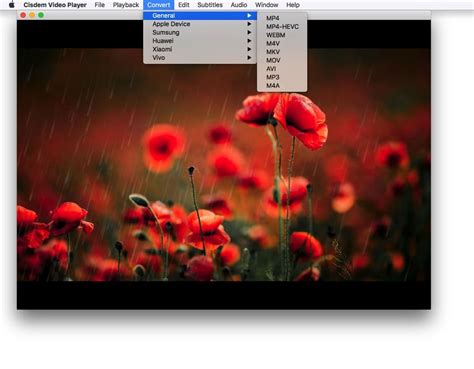 5 Easy Solutions To Fix MKV File No Sound