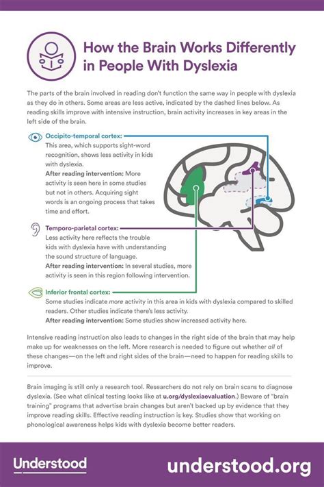 How Reading Affects The Brain Artofit