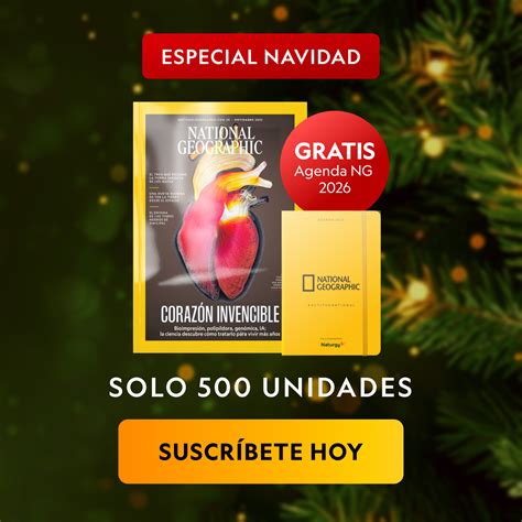 Estaño Sn Propiedades Químicas Del Elemento De La Tabla Periódica