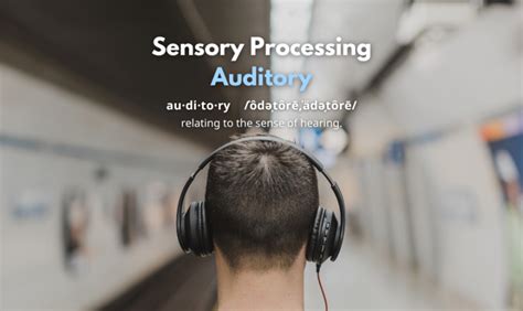 Rescheduled Online Open Workshop Sensory Processing Auditory 111924 900 Am 1000