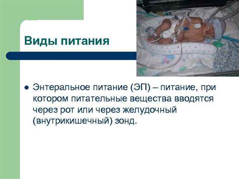 Питание пациентов Основы лечебного питания l Начало