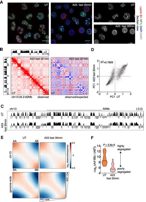 Calcium Signaling Instructs Nipbl Recruitment At Active Enhancers And Promoters Via Distinct