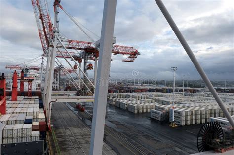 Ship With Containers And Cranes During Cargo Operation Loading And Discharging By Gantry Cranes