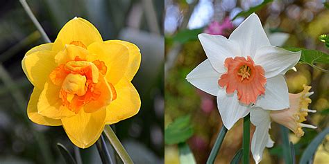 Dsc 0138 004 Side By Felix786166 On Deviantart