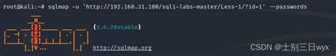 Sqlmap Csdn
