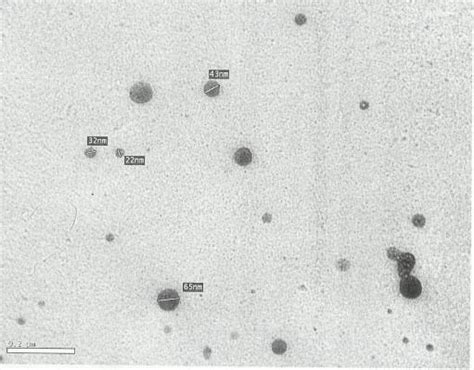 Tem Structure Of Ammonium Polyphosphate Download Scientific Diagram