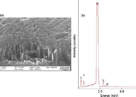 a sem tilted view of pedot covering the top of a sinw array after 5 s
