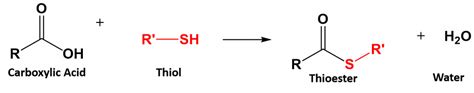 Ch105 Chapter 10 Compounds With Sulfur Phosphorus And Nitrogen