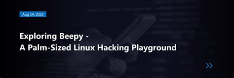 Exploring Beepy A Palm Sized Linux Hacking Playground Black Cell