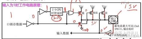 单片机IO详解 上拉 下拉 准双向 输入 输出 推挽 开漏 知乎