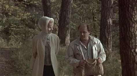 Любимое кино