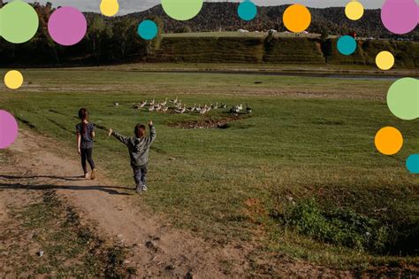 Куда поехать с детьми на один день Dots