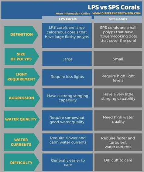 Perbedaan Antara LPS Dan SPS Corals Prodiffs