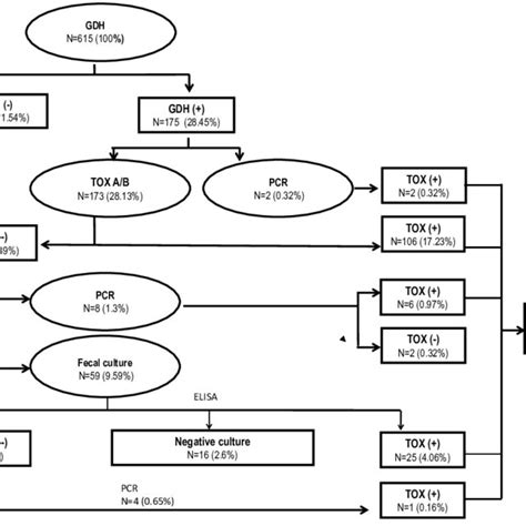 Results Of Three Step Diagnostic Algorithm In Patients Suspected Of C