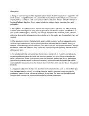 Understanding Absorption In The Digestive System Course Hero