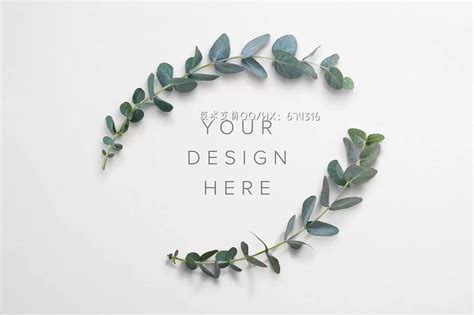 桉树自定义场景创建器样机 Psd Pdf 免费下载 幕后muhou