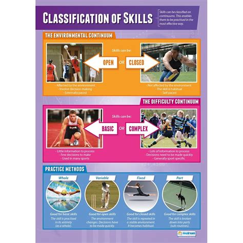 Classification Of Skills Poster Daydream Education