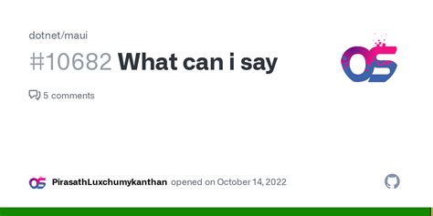 What Can I Say · Issue 10682 · Dotnetmaui · Github