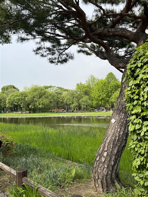 화사하고 특별한 성수동 데이트 추천드려요서울숲 튤립 축제 And 가볼 만한 곳