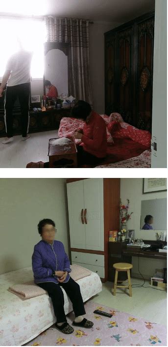 mirror segmentation result of deep learning based works a input download scientific diagram