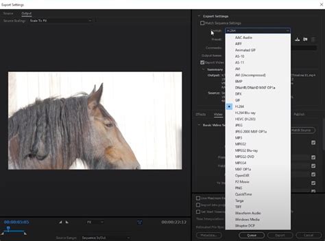 How To Resize A Video In Premiere Leawo Tutorial Center