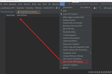 Idea启动报错improperly Specified Vm Option Csdn博客