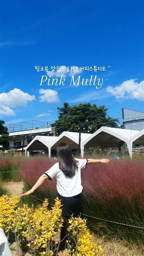 대구근교카페 161커피스튜디오 대새목장 카페월화수 161company • Instagram Photos And Videos