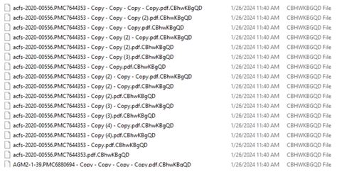 Kasseika Ransomware Analysis Detection And Mitigation