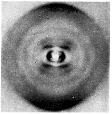 X Ray Diffraction Image Of DNA Reprinted By Permission From Download Scientific Diagram