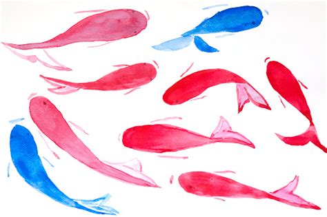 물 색깔 레드와 블루 잉어 수영 예술 브러시 는 흰색 배경에 창조적 인 벽지를 물고기 노랑에 대한 스톡 벡터 아트 및 기타 이미지 노랑 놀기 드로잉 Istock