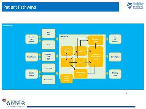 Doc Helen Maitland Presentation Ppt