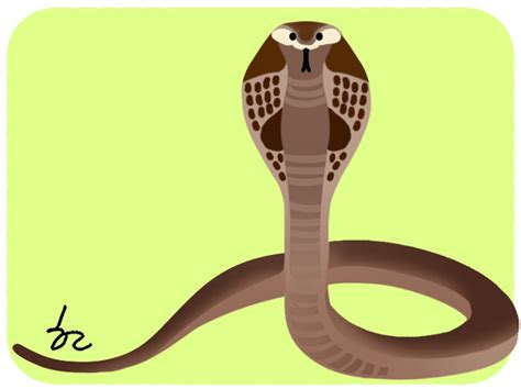 [겨자씨] 코브라 효과 국민일보