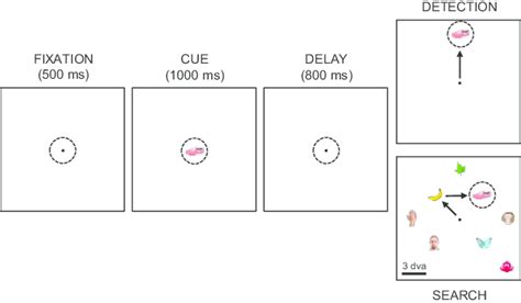 Schematic Representation Of Behavioral Tasks Download Scientific Diagram