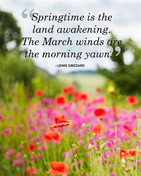 The Sweetest Spring Quotes To Welcome The Season Of Renewal Spring