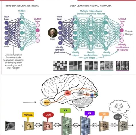 Rizwana Malik On Linkedin Xevensolutions Deeplearning Neuralnetwork Artificialintelligence