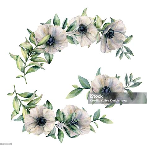 아 네모 네와 수채화 꽃 구성입니다 손 그린 흰 꽃 그리고 유 칼 리 나뭇잎에 고립 된 흰색 배경 디자인 식물 그림 인쇄 직물 또는 배경 국경에 대한 스톡 벡터 아트 및