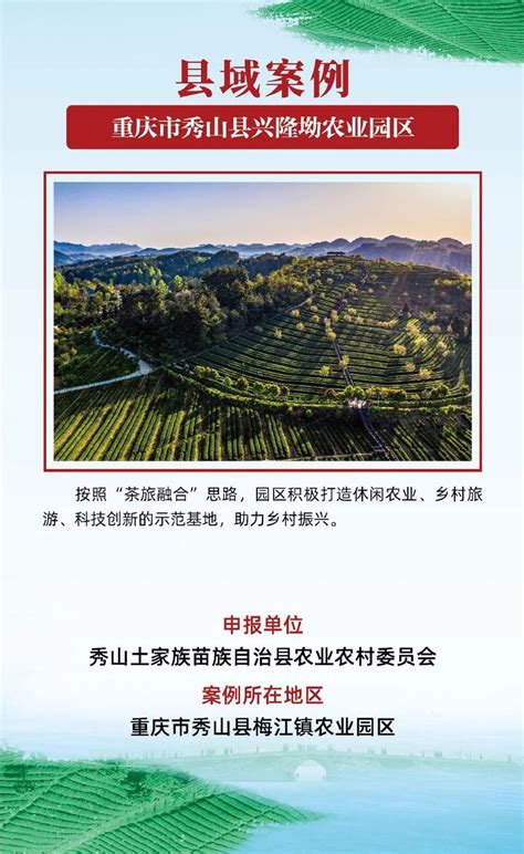 茶乡旅游发展大会丨全国三茶统筹发展典型案例发布 湘丰茶业集团