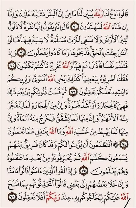 Faiza Bashiru Adamu On Linkedin When You Forget To Read Quran Today 🥰😍