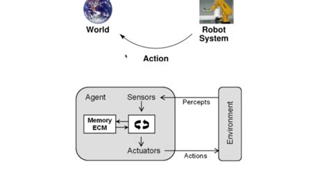 Ai Perception Action Cycle From Today I Am Going To Write A Series