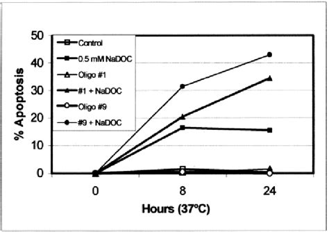 Effect Of Two Different Antisense Oligonucleotides One Targeted At The