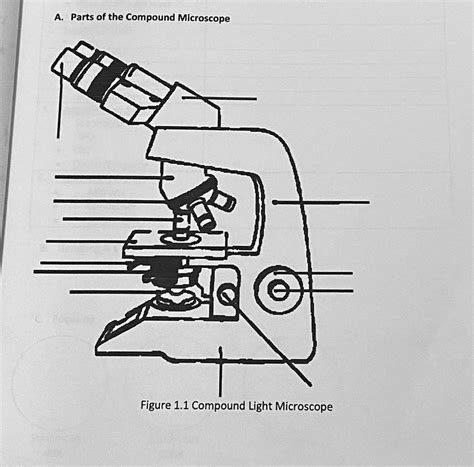 A Parts Of The Compound Microscope Figure 11 Compound Light