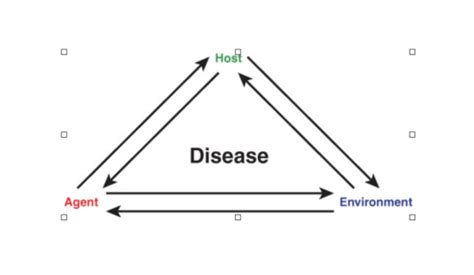 History Of Epidemiology Disease Transmission Flashcards Quizlet