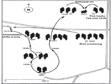 Figure 2 From Harris S Hawk Multi Objective Optimizer For Reference
