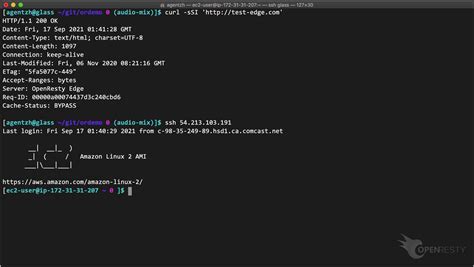 Set Different Host Headers For Upstream Requests In Openresty Edge