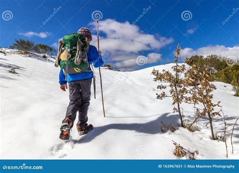 Young Man Trudging Through Snow With His Snowboard Royalty Free Stock