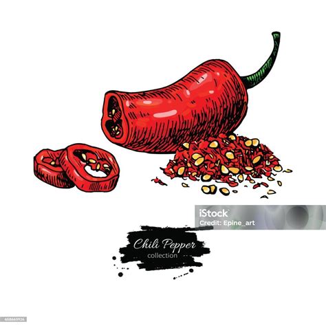 칠리 후추 손으로 그려 벡터 일러스트 레이 션 야채 예술적 스타일 개체입니다 뜨거운 절연 매운 부숴진에 대한 스톡 벡터 아트 및 기타 이미지 Istock