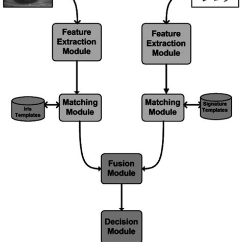 Multi Modal Biometrics System Iris And Signature Download Scientific